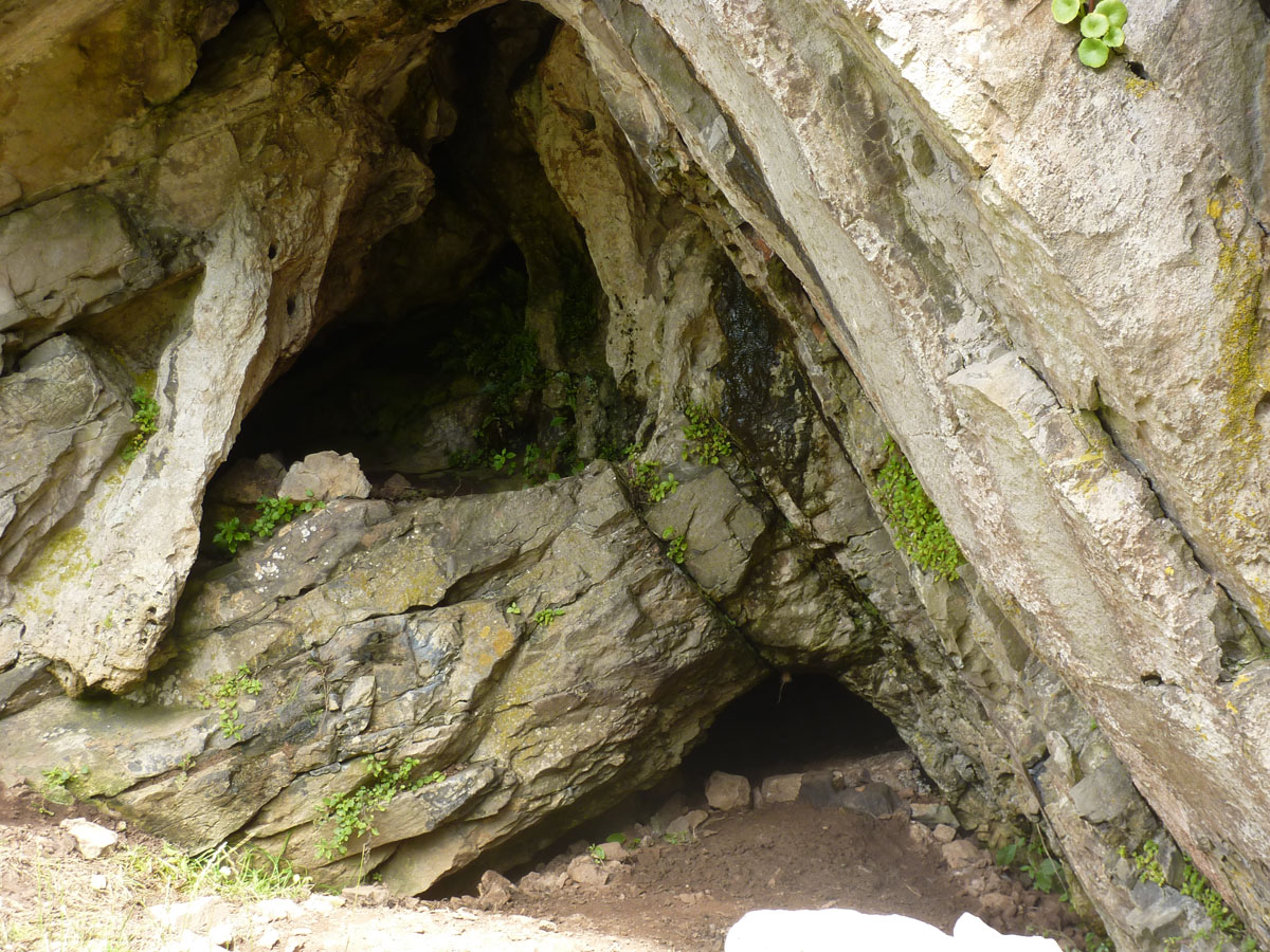 Bone Caves of the Gower Peninsula, sites of Archaeological Importance