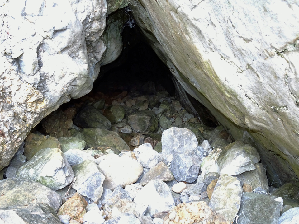 A discovery of possible Upper Palaeolithic Parietal art in Cathole Cave ...