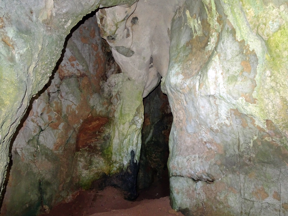 The archaeological potential of Wogan Cavern - Gower Bone Caves